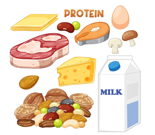 How To Get 30 Grams of Protein for Breakfast?5 Simple Recipes ...