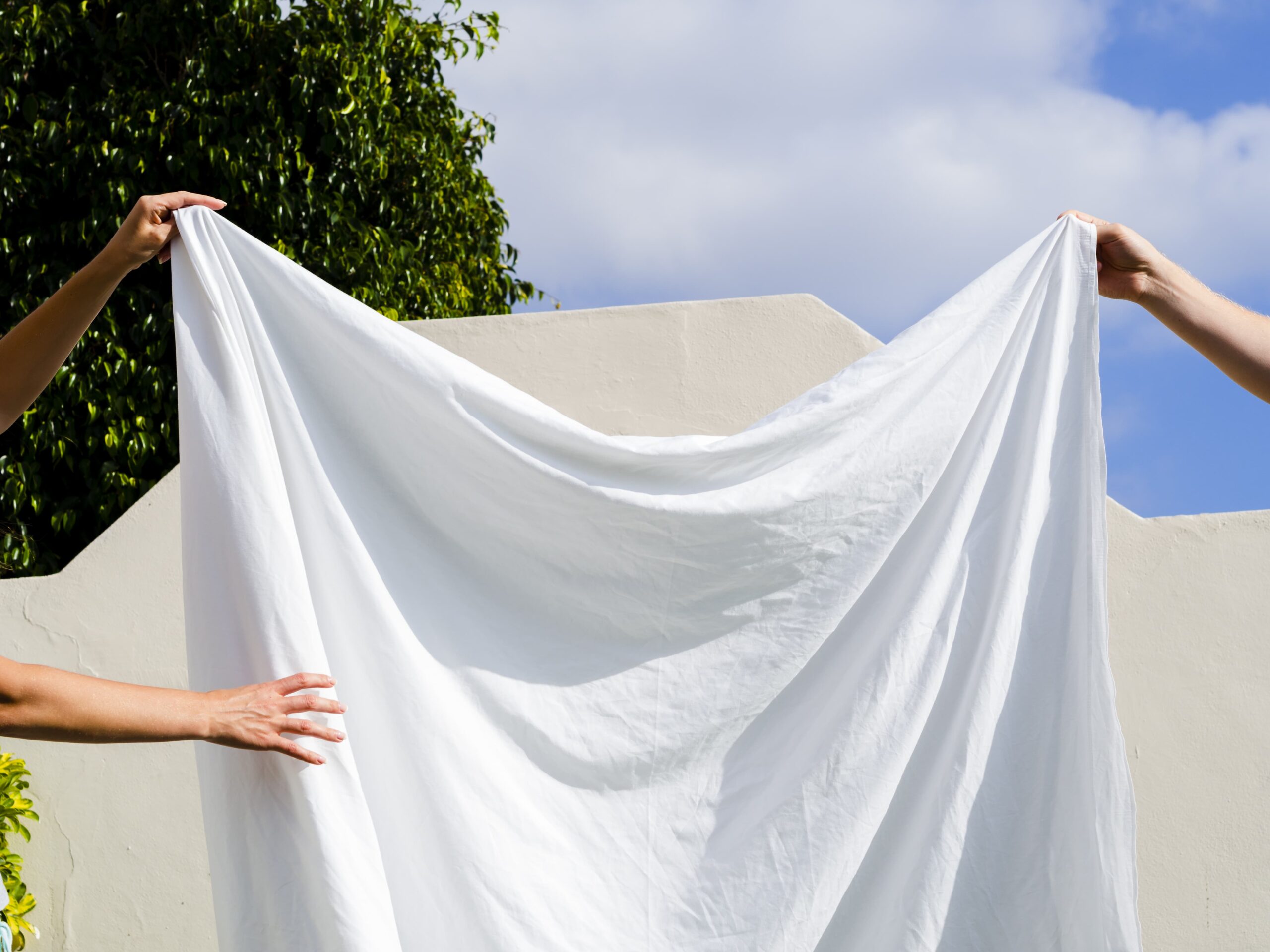 How To Remove Mold From Clothes?4 Methods To Solve Stain Problems ...