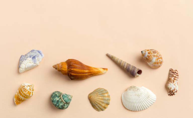 How to Make a Seashell Necklace — Easy DIY Tutorial - LifeInTrends